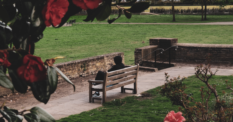 Time to Contemplate - Portfolio Site